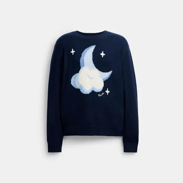 COACH Graphic Intarsia Crewneck Sweater