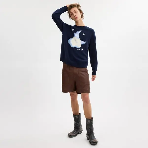 COACH Graphic Intarsia Crewneck Sweater