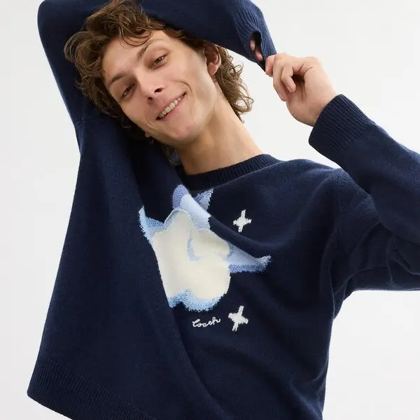 COACH Graphic Intarsia Crewneck Sweater