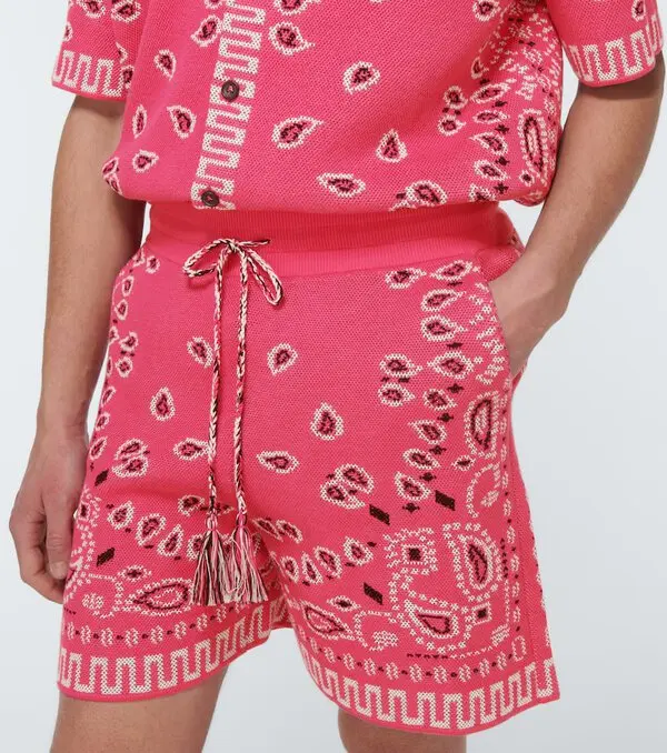 Alanui Cotton-blend Bandana Print Shorts