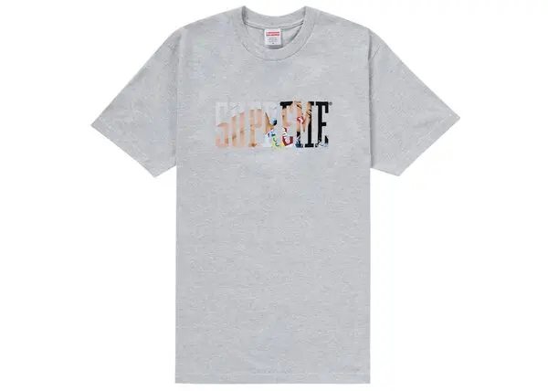 Supreme Tera Patrick Collegiate Tee Shirt - Ash Grey