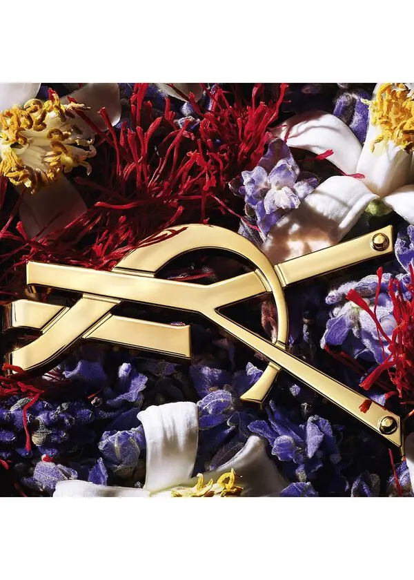 Saint Laurent Le Parfum