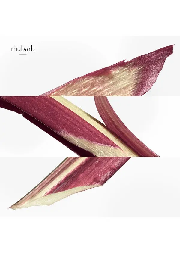 Hermès Eau De Rhubarbe Écarlate