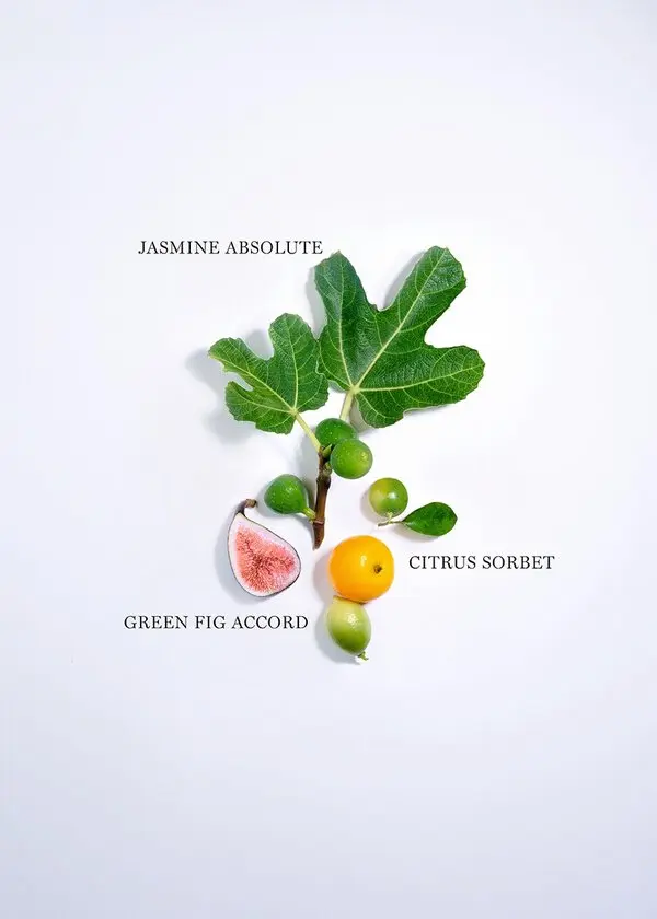 LANCOME Maison Figues & Agrumes Eau De Parfum