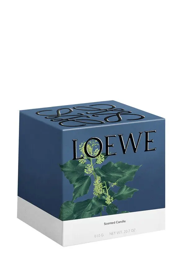 Loewe Ivy Candle