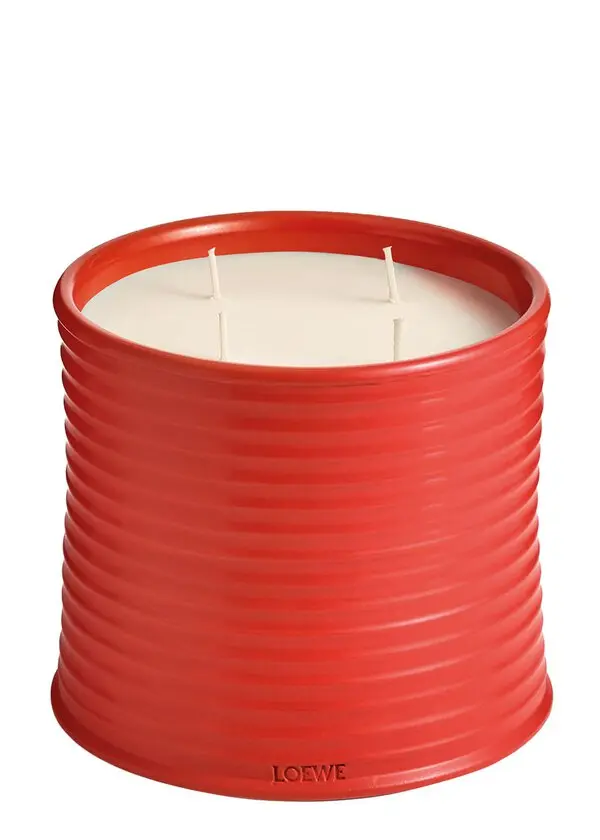 Loewe Tomato Leaves Candle