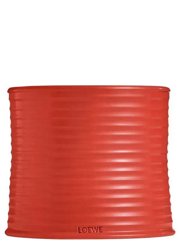 Loewe Tomato Leaves Candle