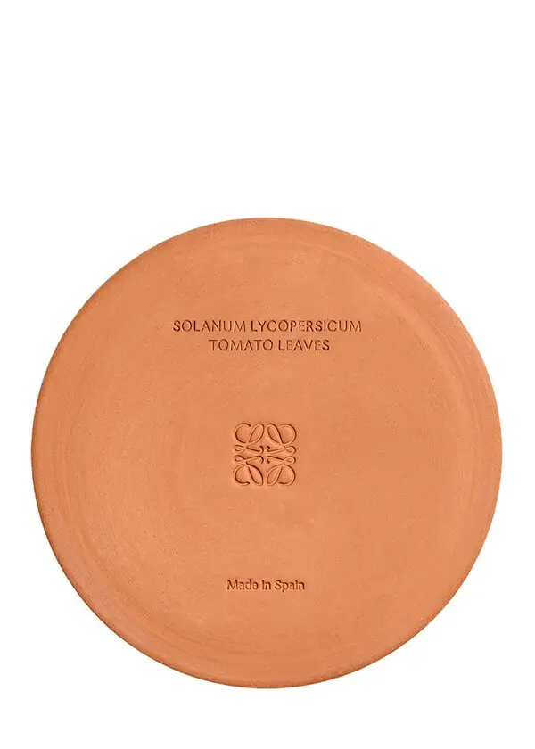 Loewe Tomato Leaves Candle
