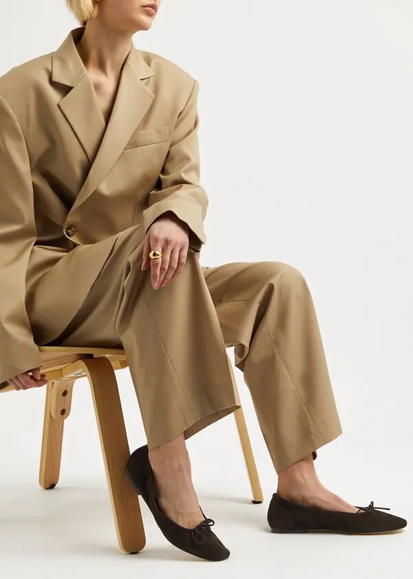 AeydĒ Delfina Suede Ballet Flats