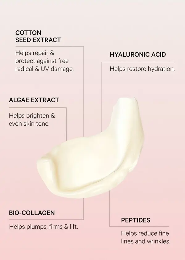MZ SKIN The Moisturiser