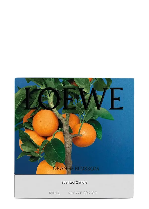 Loewe Orange Candle
