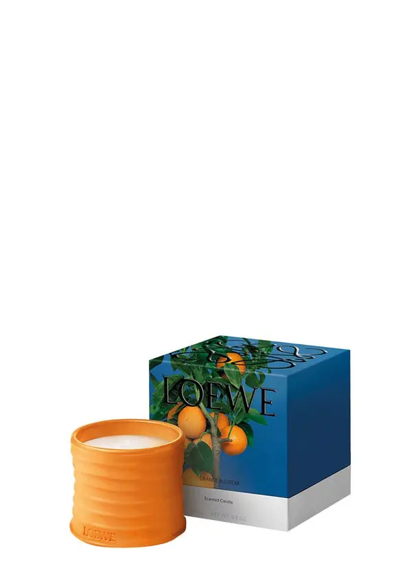 Loewe Orange Candle