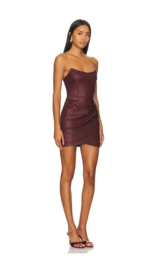Retrofete James Dress - Coated Port