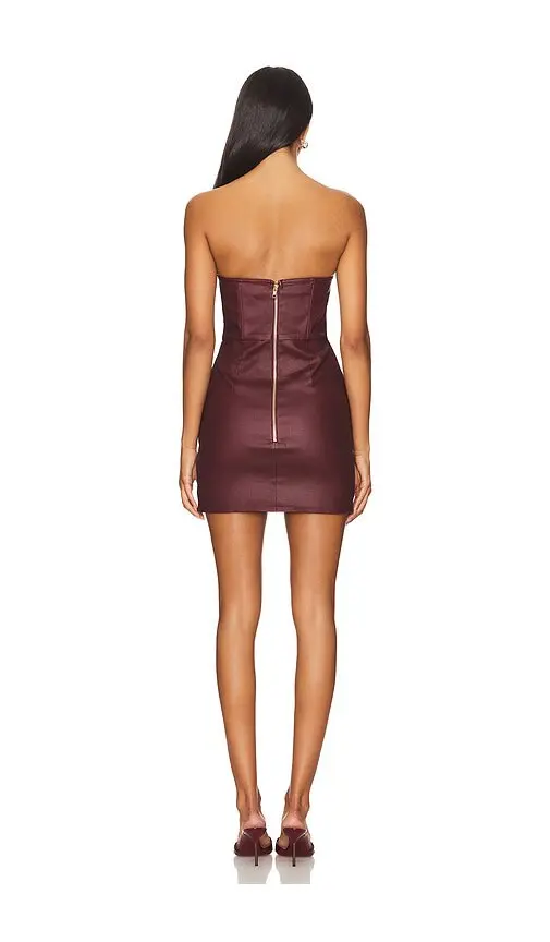 Retrofete James Dress - Coated Port