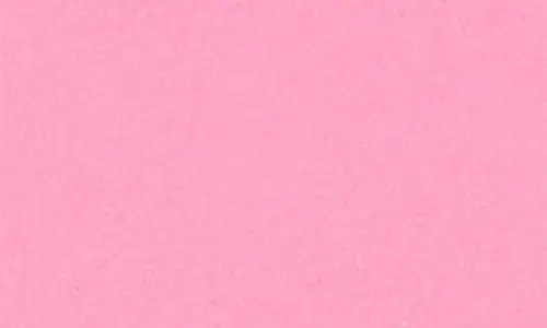 SPECTRUM Brush Club Puffection Duo - None