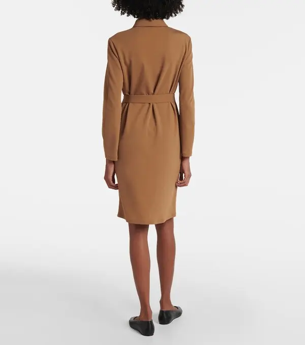 Max Mara Dorema Belted Minidress