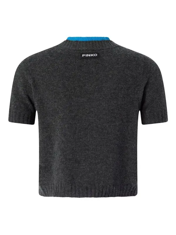 Pinko Savannah Sweater