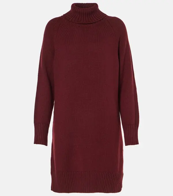 Max Mara Trudy Virgin Wool Turtleneck Minidress