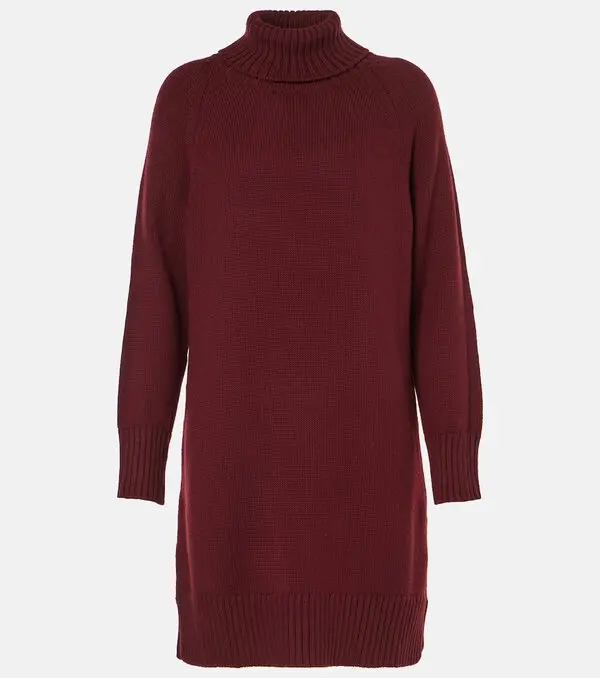 Max Mara Trudy Virgin Wool Turtleneck Minidress