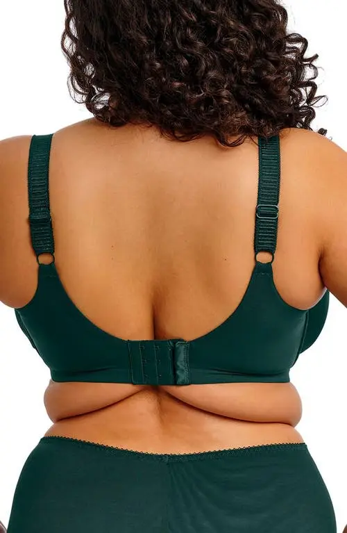 Elomi Cate Allure Underwire Bra - Deep Emerald