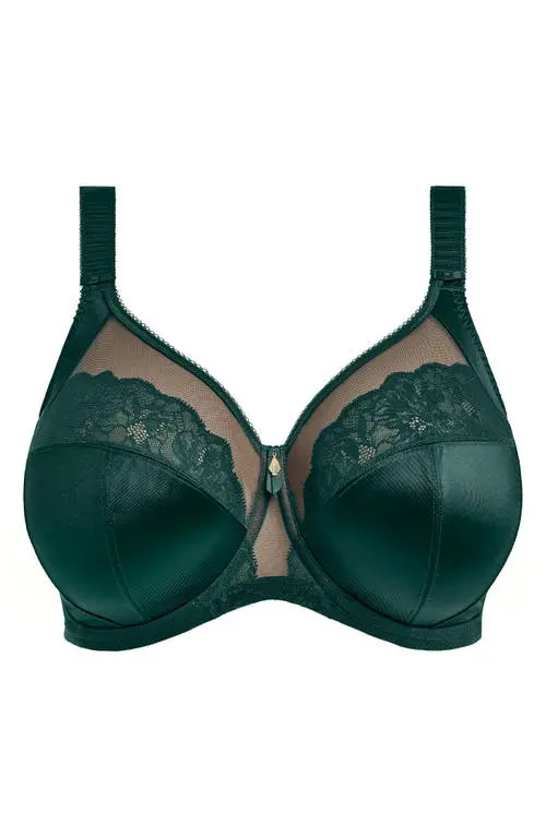 Elomi Cate Allure Underwire Bra - Deep Emerald