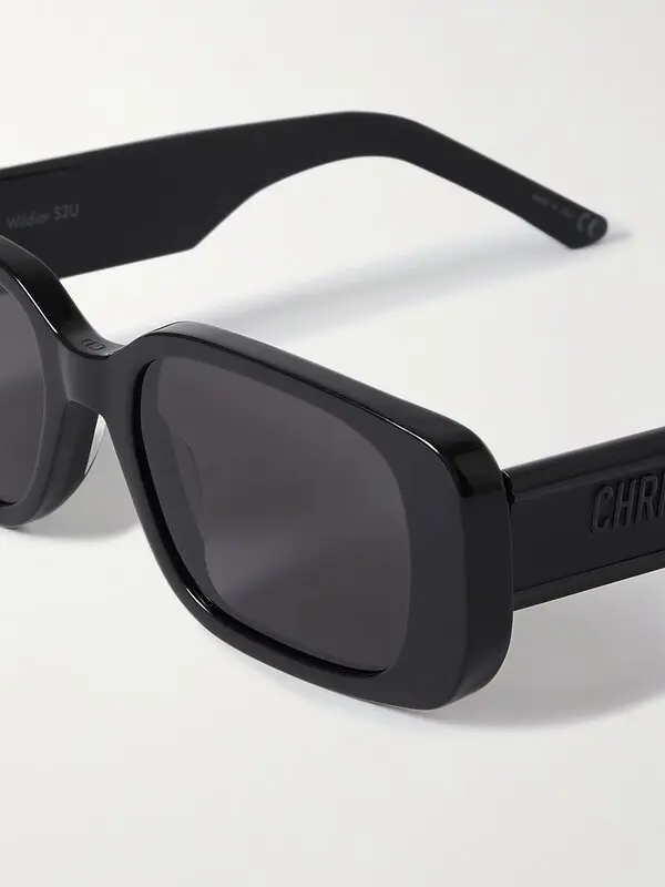 Dior Wildior S2u Sunglasses - Black