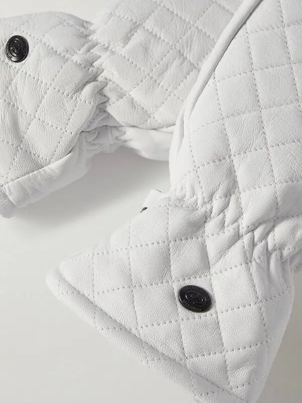 Goldbergh Nishi Leather Gloves