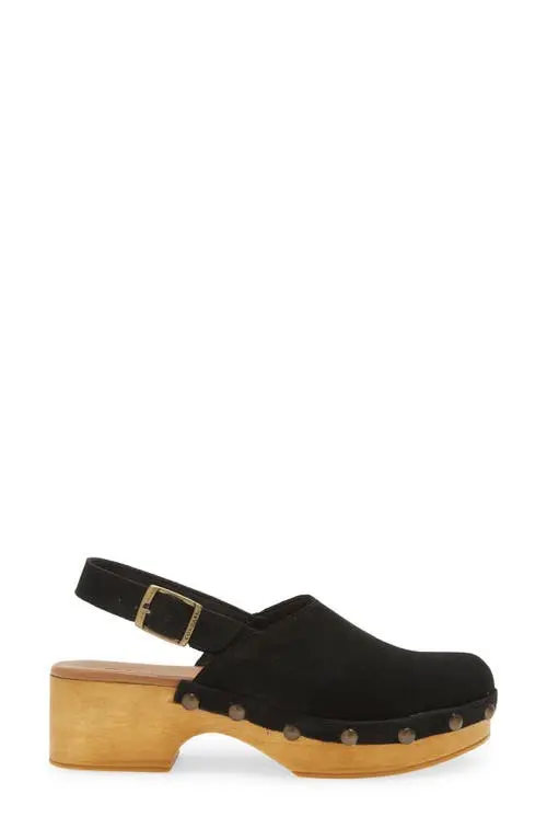 Cordani Wilkes Platform Clog - Black Suede