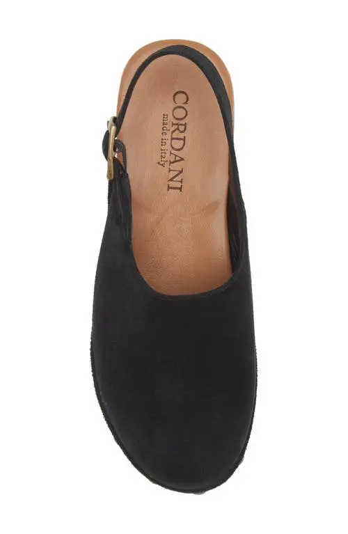 Cordani Wilkes Platform Clog - Black Suede