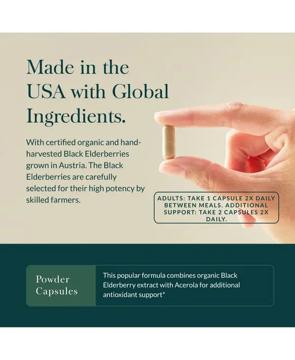 GAIA HERBS Black Elderberry
