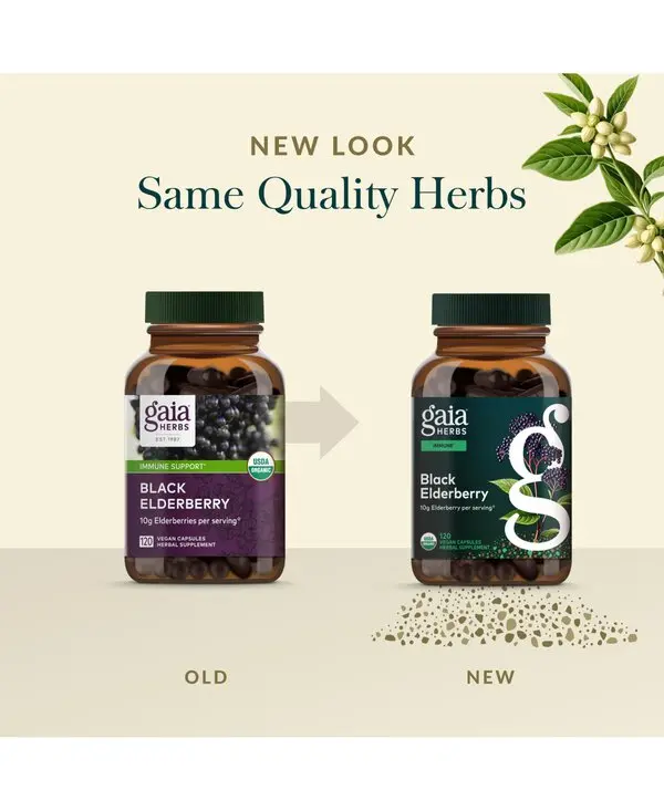 GAIA HERBS Black Elderberry