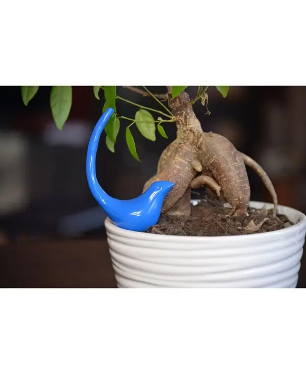 VIBHSA Bird Ring Holder
