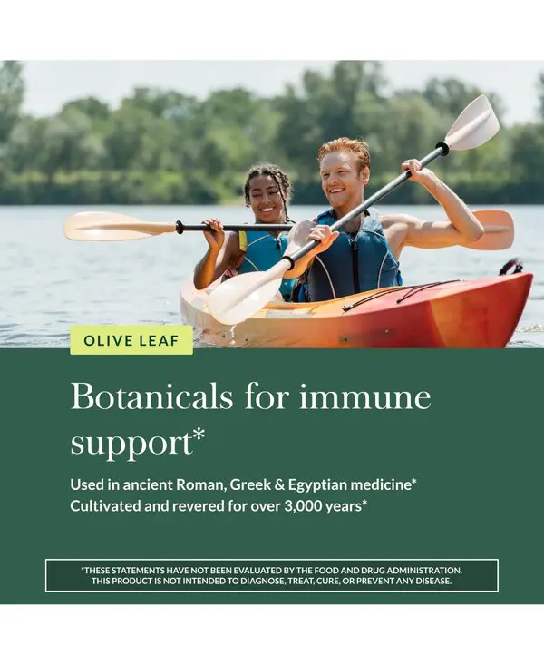 GAIA HERBS Olive Leaf Traditional Immune Health Support Immune System Supplement With Olive Leaf Extract And Oleuropein