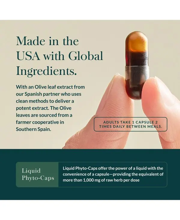 GAIA HERBS Olive Leaf Traditional Immune Health Support Immune System Supplement With Olive Leaf Extract And Oleuropein