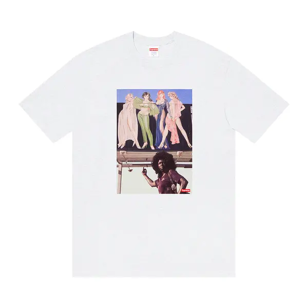 Supreme American Picture Tee 'ash - Grey