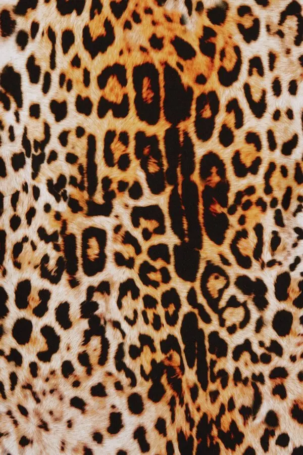 Halpern Open-back Leopard-print Maxi Dress