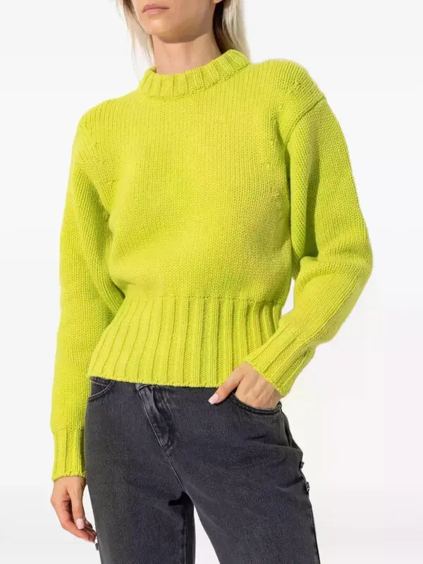 Alexander McQueen Crew-neck Sweater