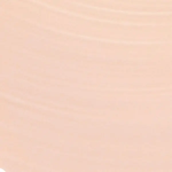 CHANTECAILLE Future Skin Cushion Skincare Foundation