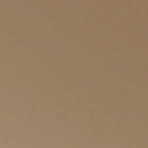 Gucci Oversized Square Frame Sunglasses