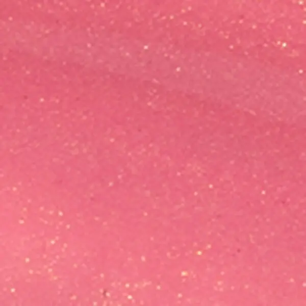 CHANTECAILLE Brilliant Gloss