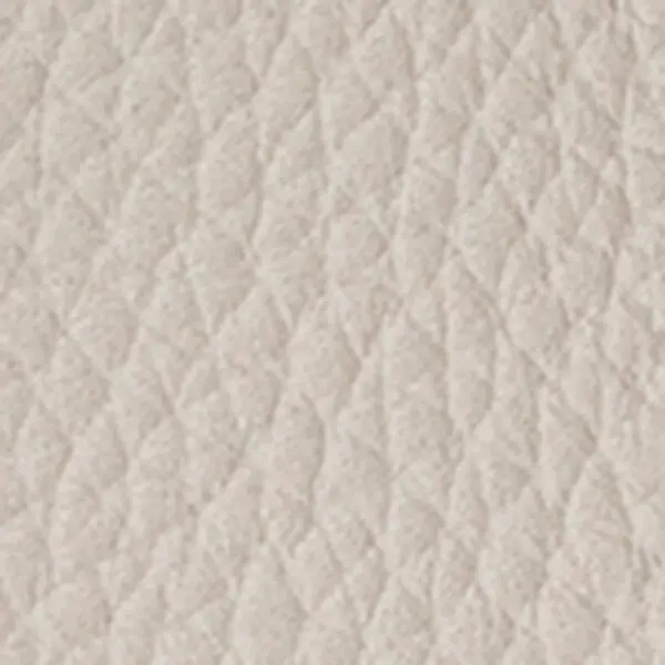 Loewe Leather Zip Wallet