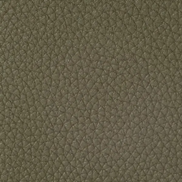 Loewe Leather Bifold Wallet - Green