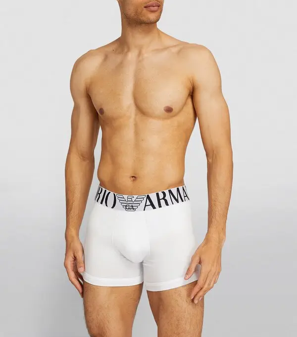 Emporio Armani Mega Logo Trunks