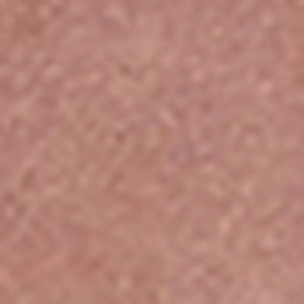 GIANVITO ROSSI Pumps 85 - Nude