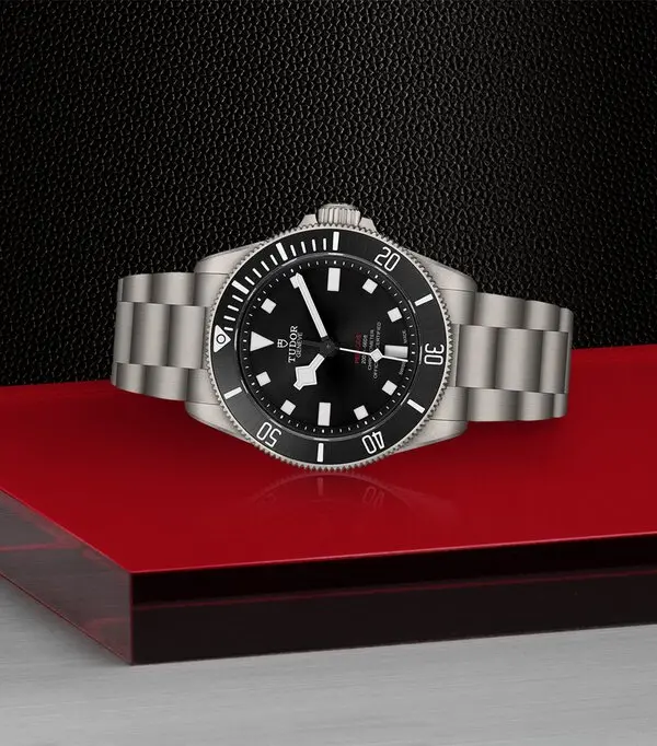 TUDOR Pelagos Titanium Diver Watch