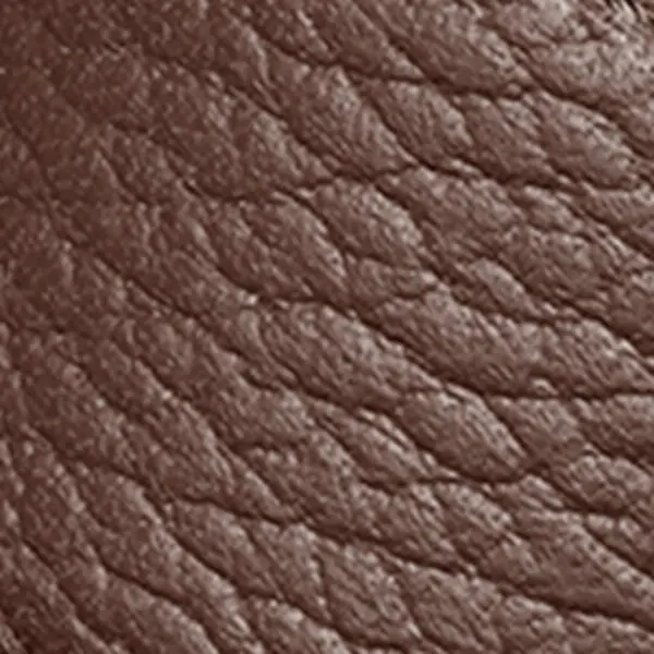 Cartier Leather Tank De Belt