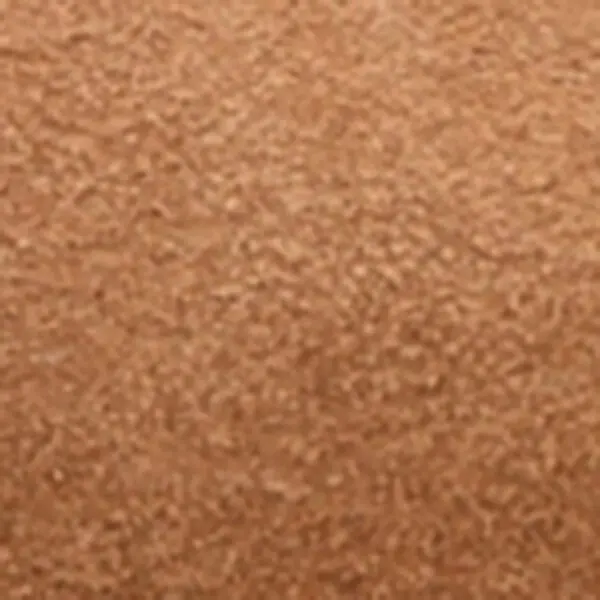 UGG Suede Tazz Slippers