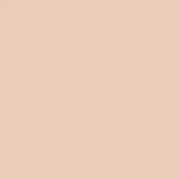 Dior Forever Skin Correct - Nude