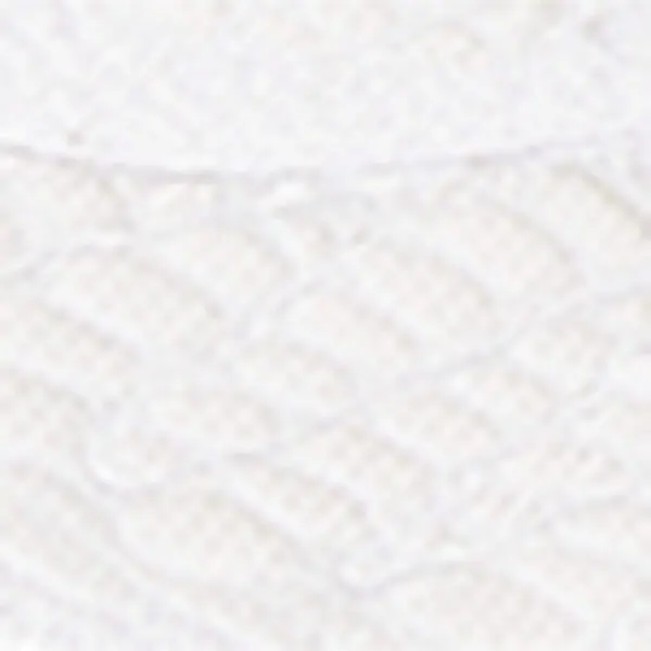 Wacoal Lace Underwired Raffine Bra