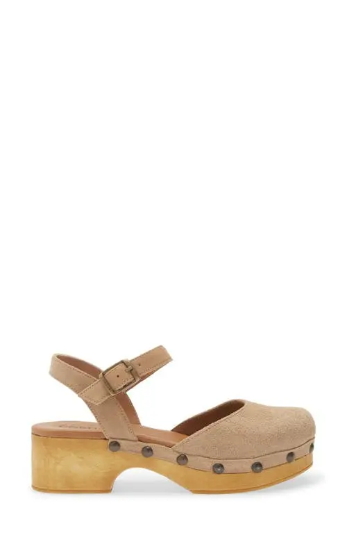 Cordani Winston Ankle Strap Platform Clog - Biscotto